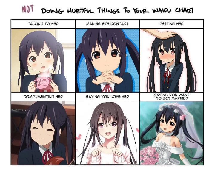 Not Doing Hurtful Things To Your Waifu